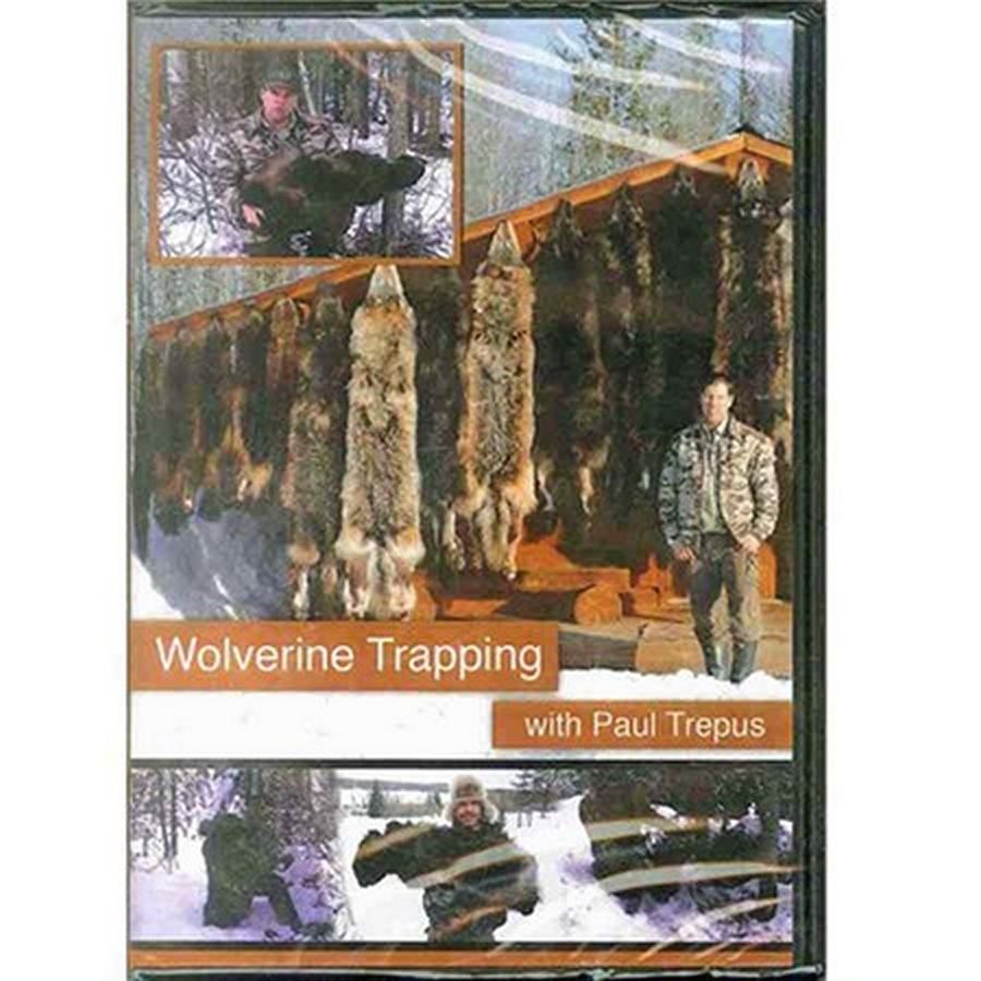 Wolverine Trapping with Paul Trepus
