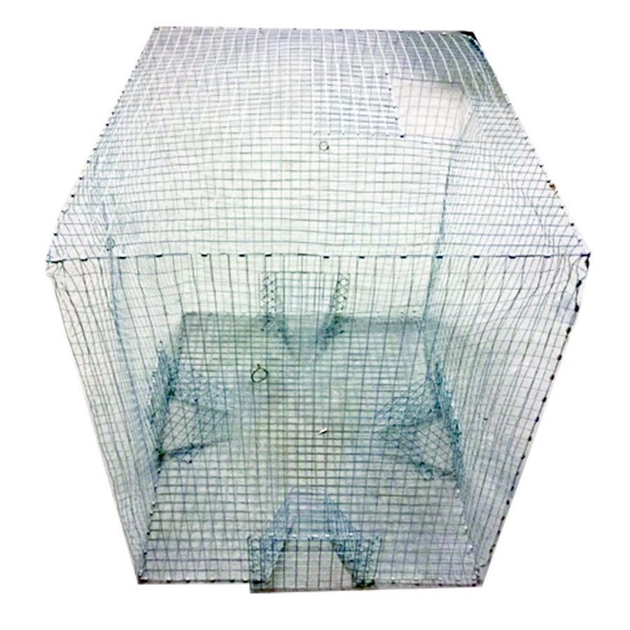 Extra Large Magpie/Pigeon Live Cage Trap