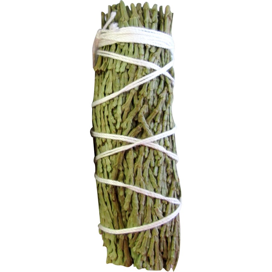 Cedar Bundle (7" - 8")