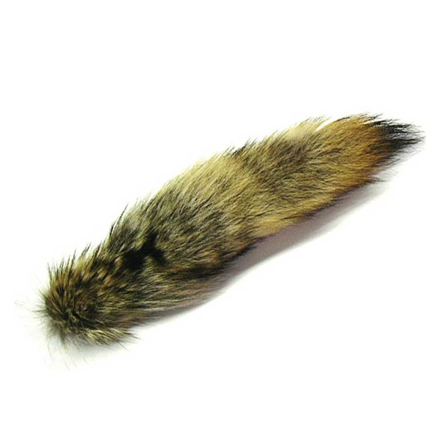 Coyote Tails