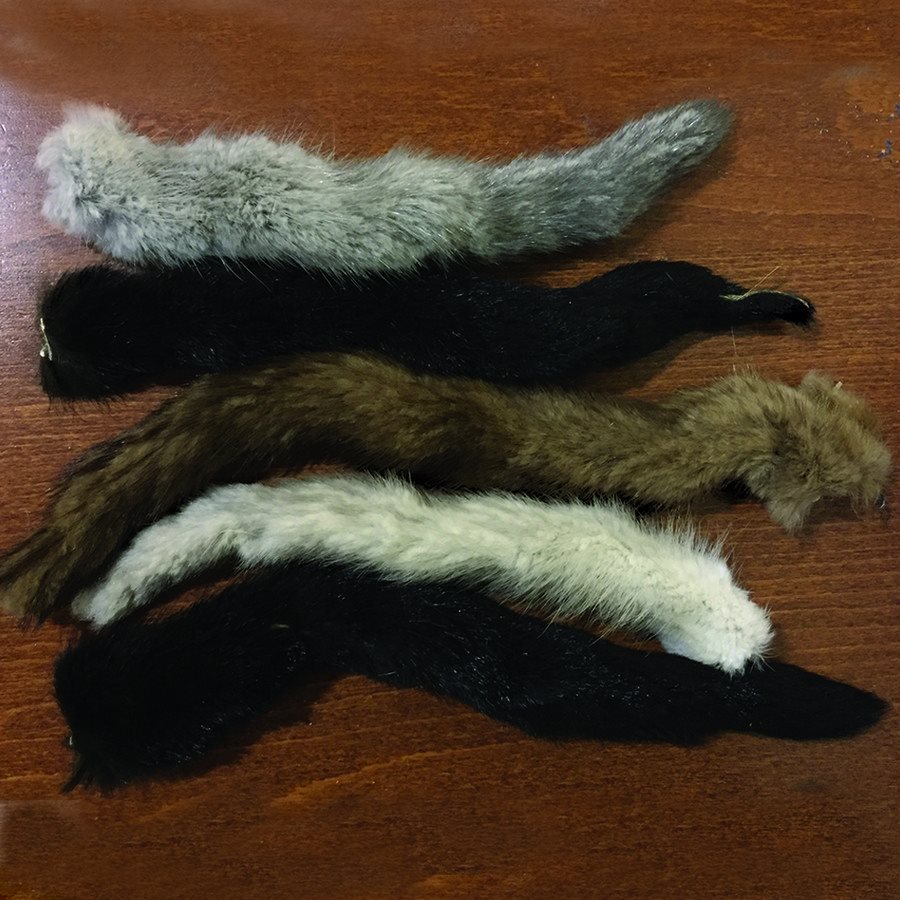 Tail Mink